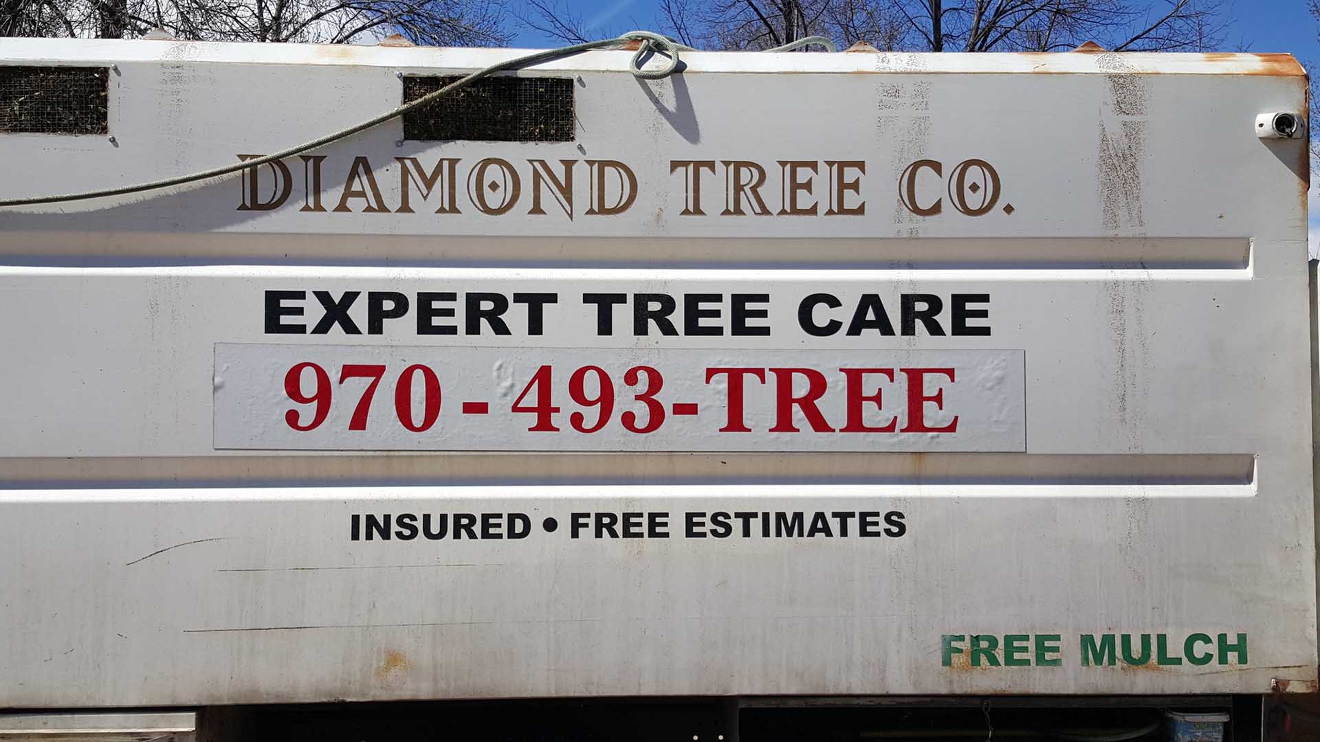 Fort Collins Tree Thinning | Diamond Tree Company