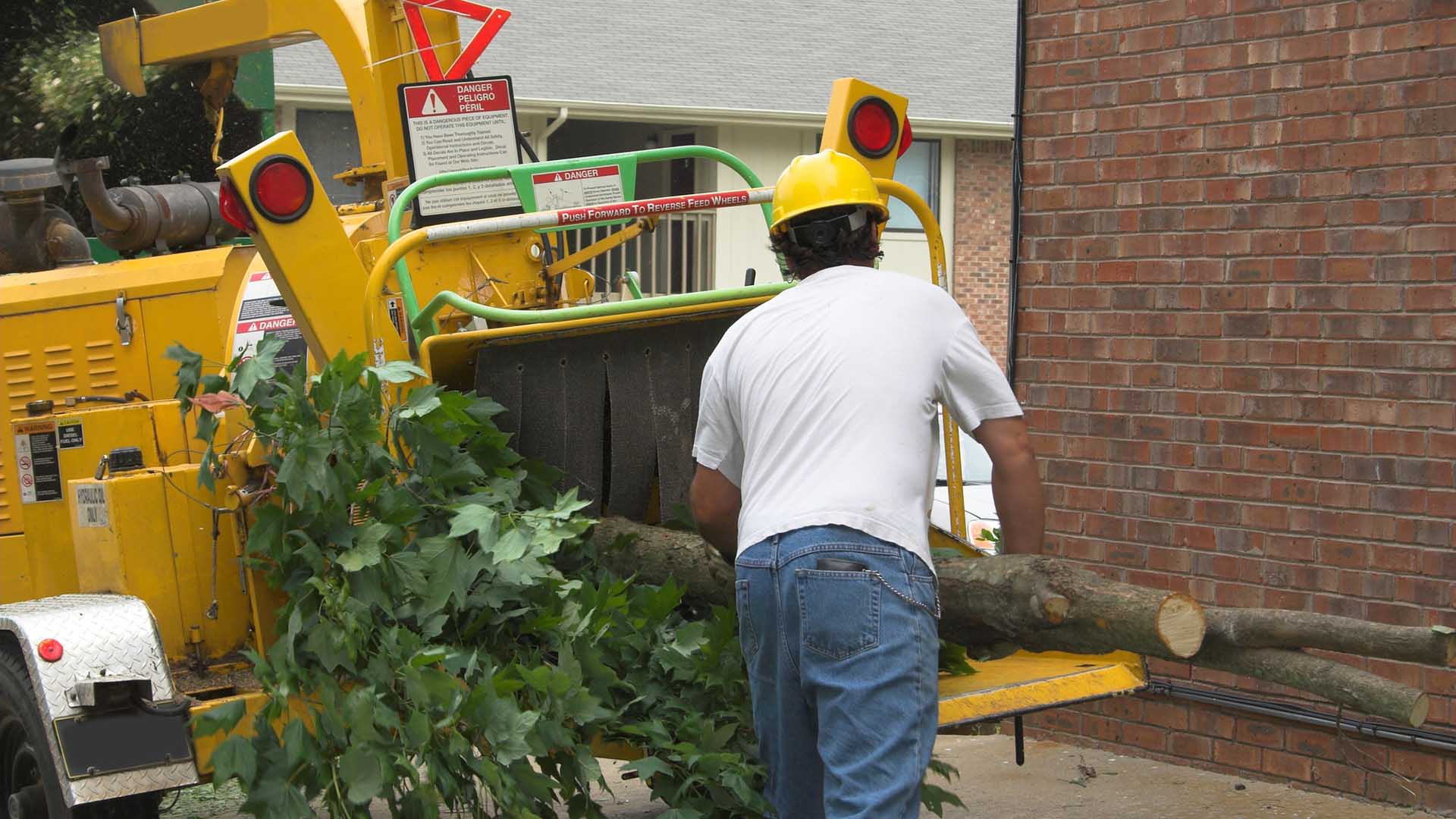 Fort Collins Wood Chipping | Diamond Tree Company/